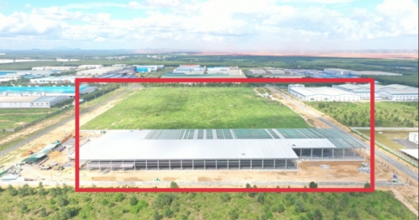 Đồng Nai: Kiểm tra, xử lý công trình "khủng" không phép tại KCN Lộc An ...